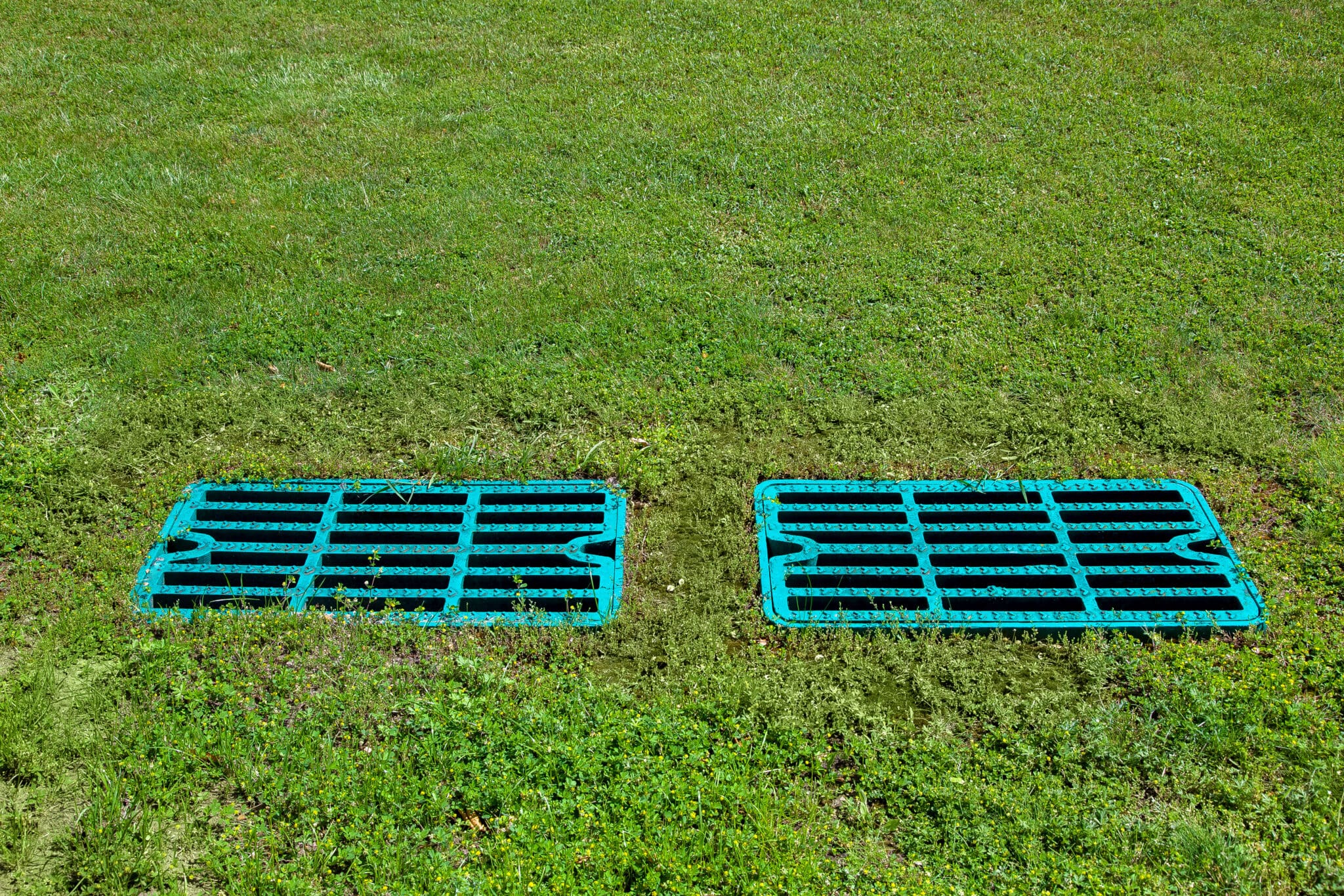 What To Know About Your Septic Drain Field | Biros Septic